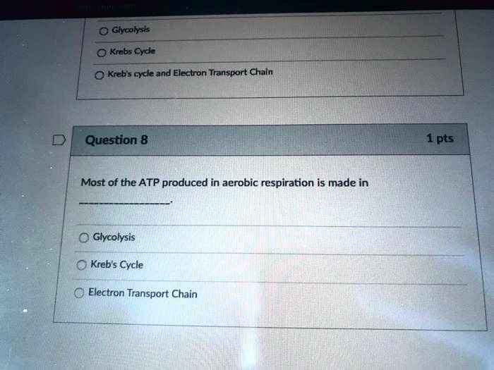 ghcolyl krbs cycle kreb s cycle und electron transport chain question 8 ...