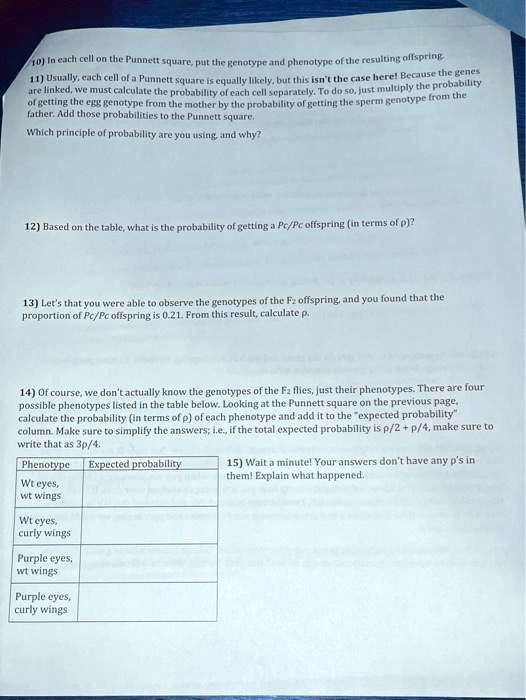 SOLVED: Father. Add those probabilities to the Punnett square. Which ...