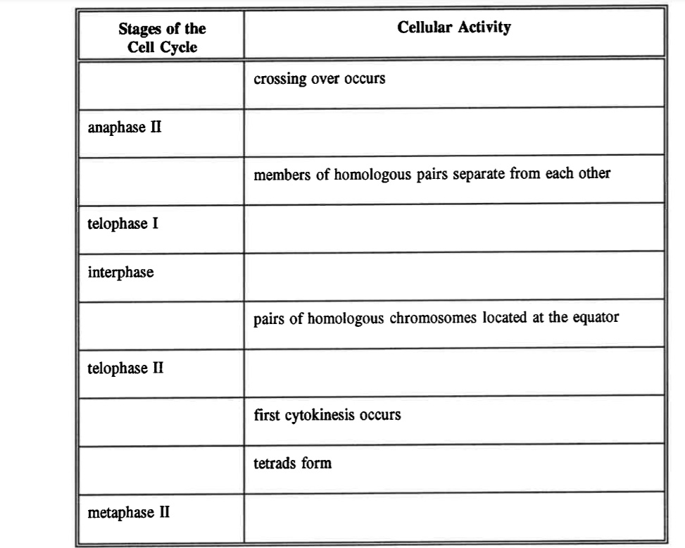 SOLVED: Stages of the Cell Cycle Cellular Activity crossing over occurs ...