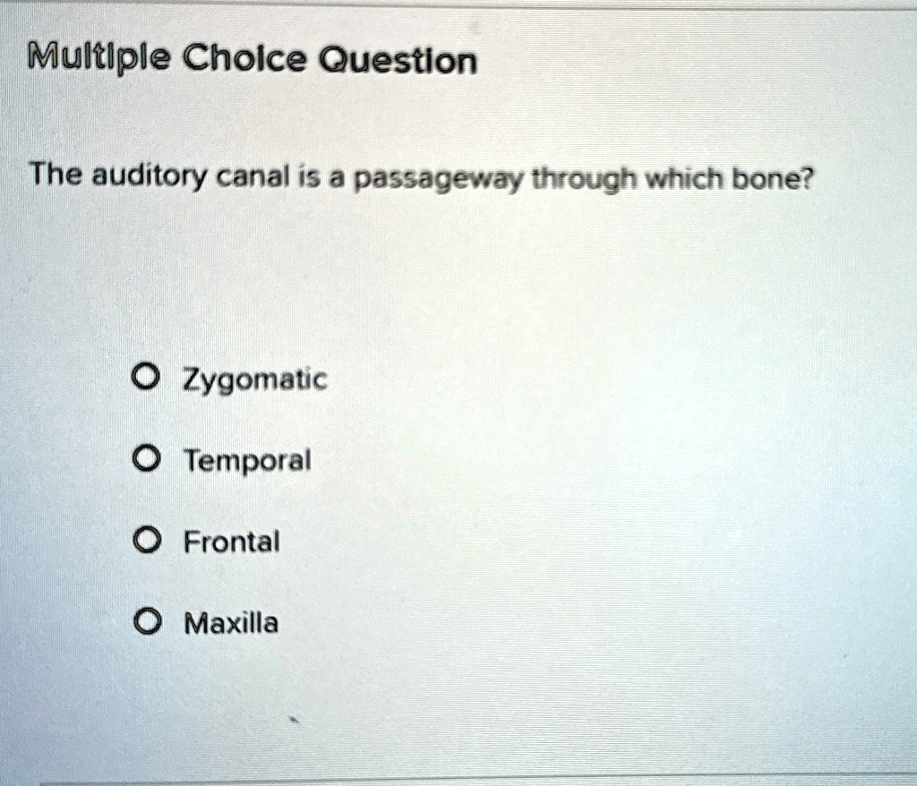 Multiple Choice Question The auditory canal is a passageway through which bone? O Zygomatic O ...
