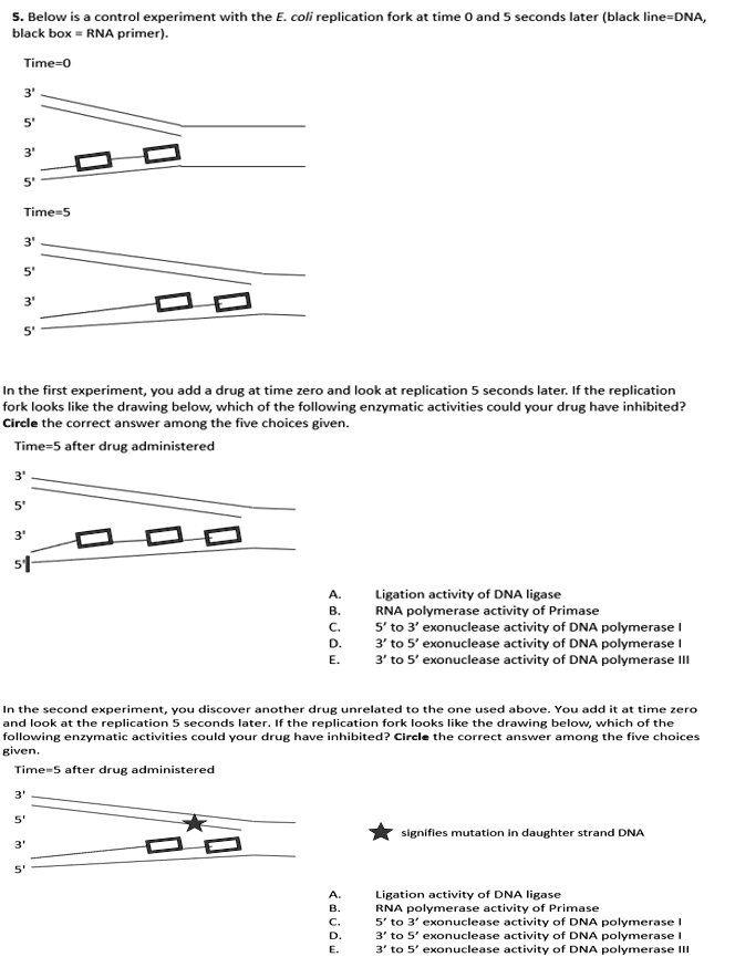 SOLVED: Belov is control experiment with the E: coli replication fork ...