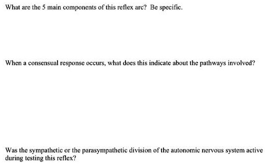 What are the 5 main components of this reflex arc? Be specific. When a ...