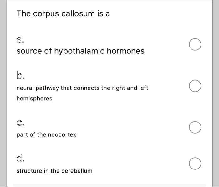 SOLVED: The corpus callosum is a a. source of hypothalamic hormones b ...