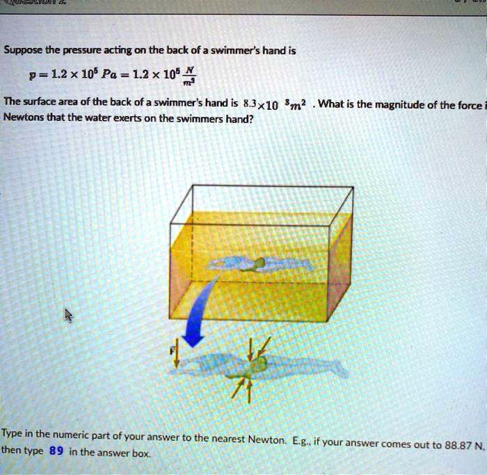 suppose the pressure actingon the back ofa swimmers hand is p 12 10 pa ...