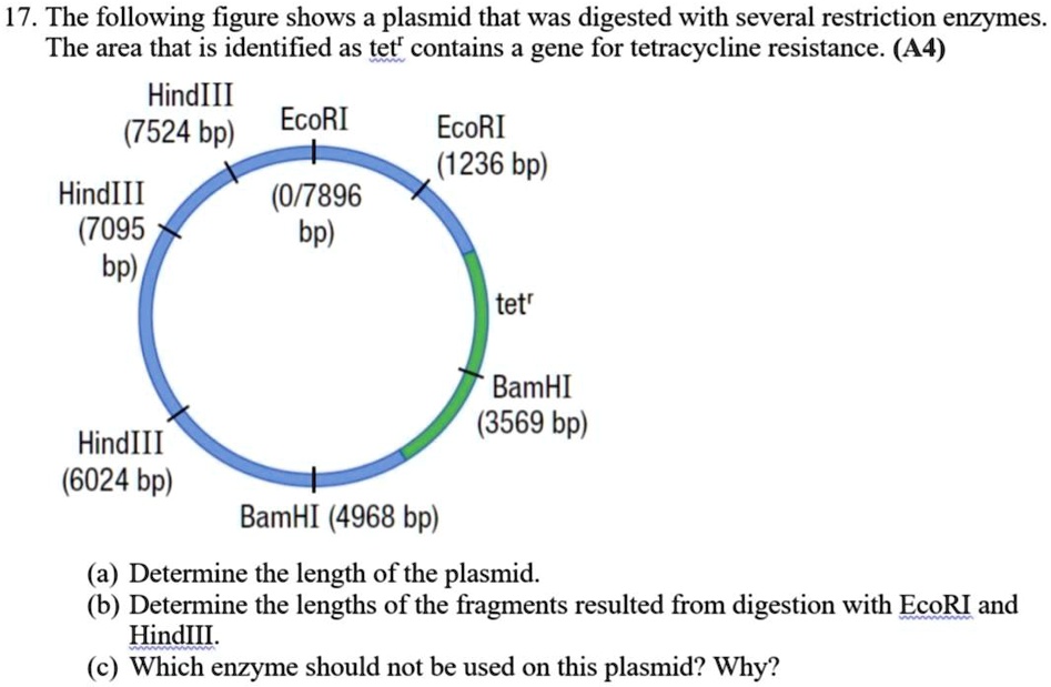 VIDEO solution: 17. The following figure shows a plasmid that was digested with several ...