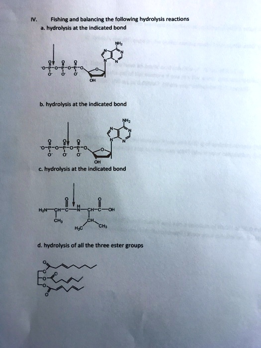 IV. Fishing and balancing the following hydrolysis reactions a ...