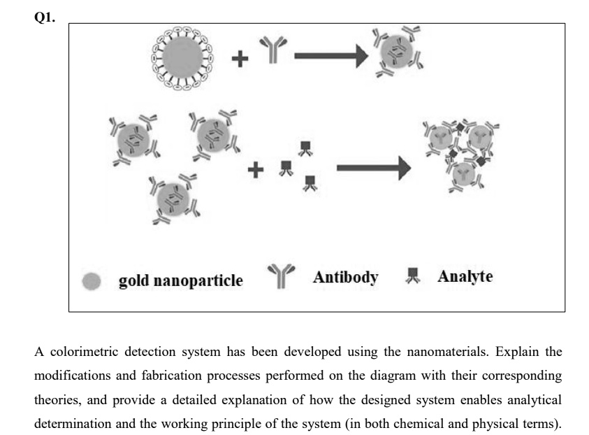 SOLVED: Q1. gold nanoparticle Antibody Analyte A colorimetric detection ...