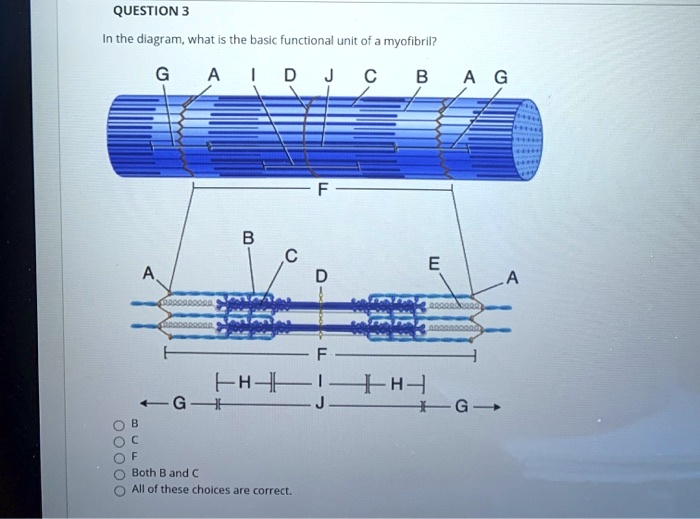 [GET ANSWER] QUESTION 3 In the diagram, what is the basic functional ...