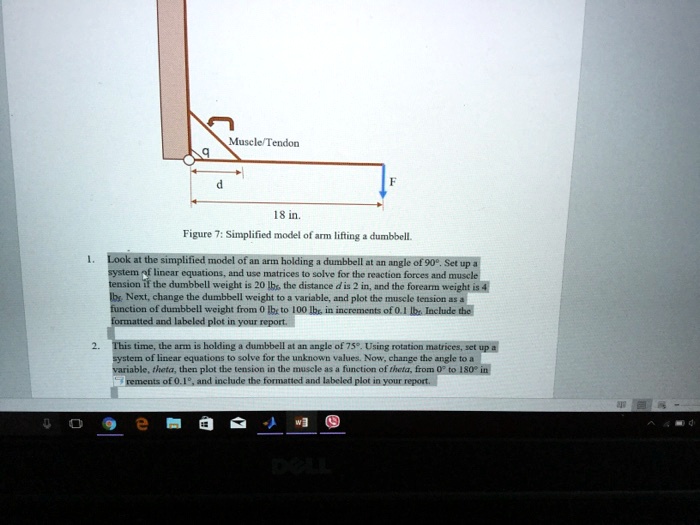 number 2 muscletendon 18in figure 7simplified model of arm lifting a ...