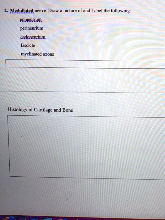 2. Medullated nerve. Draw a picture of and Label the following ...
