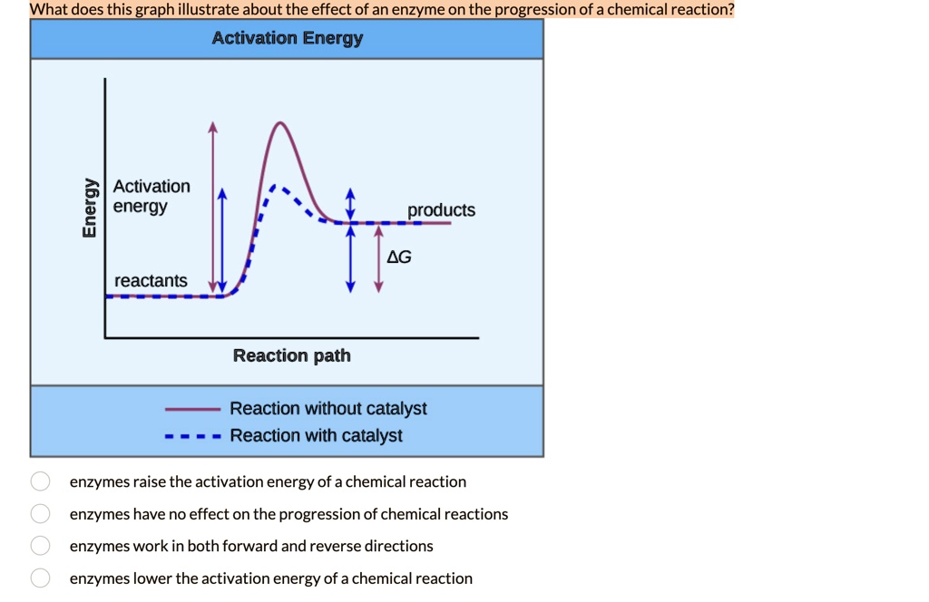 What does this graph illustrate about the effect of an enzyme on the ...