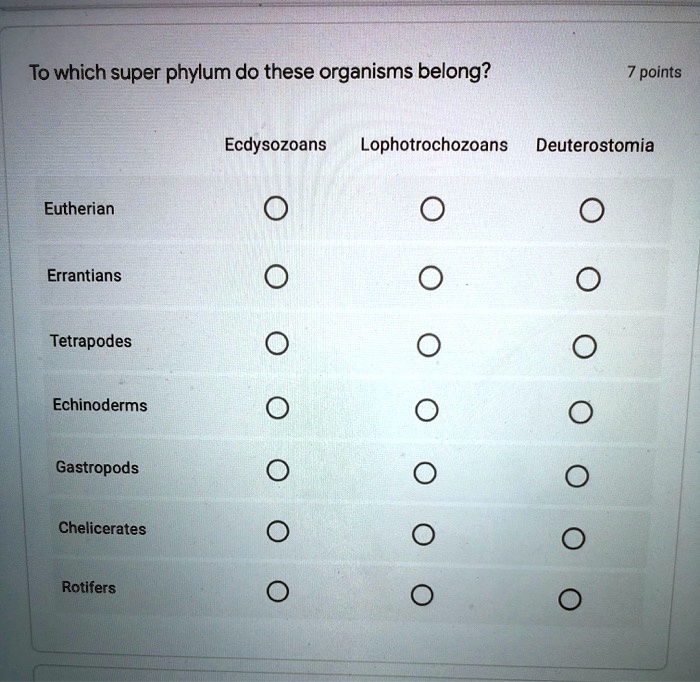 SOLVED: To which superphylum do these organisms belong? Points ...