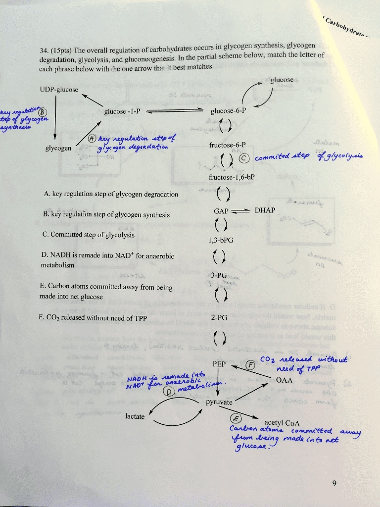 SOLVED: Biochemistry. Can you explain parts B, C, and D for me? The ...