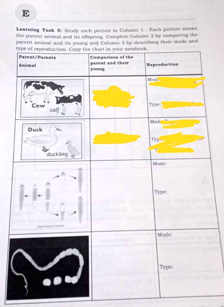 SOLVED: Type: Mode: PA SAGOT PO PLEASE 5 Learning Task 5: Study each picture in Column 1. Each ...