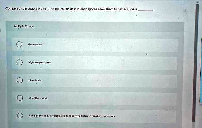 SOLVED: Text: Compared to a vegetative cell, the dipicolinic acid in ...