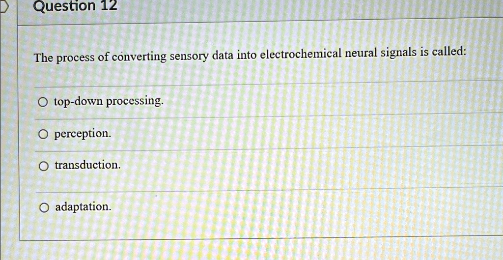 SOLVED: Question 12 The process of converting sensory data into electrochemical neural signals ...