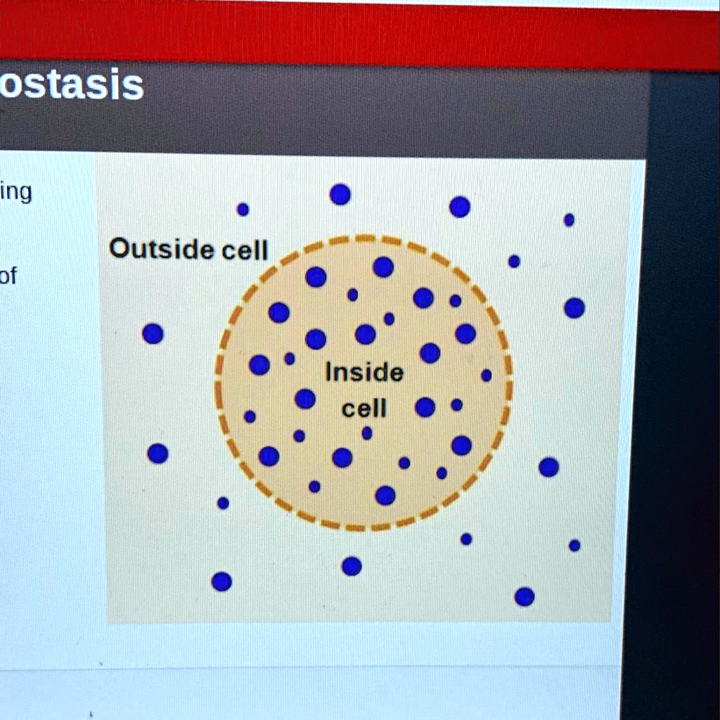 SOLVED: Outside cell Compared to the outside of the cell, the inside of ...
