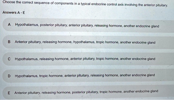 choose the correct sequence of components in typical endocrine control ...