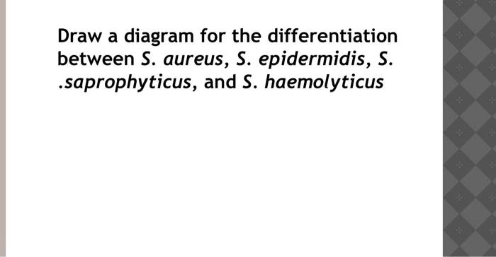 SOLVED: Draw a diagram for the differentiation between S. aureus, S ...