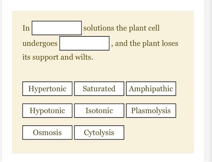 SOLVED: solutions the plant cell undergoes its support and wilts. and ...