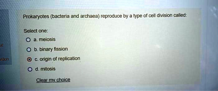 SOLVED:Prokaryotes (bacteria and archaea) reproduce by a type of cell ...
