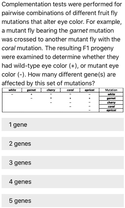 complementation tests were performed for pairwise combinations of ...