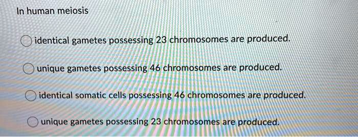 SOLVED: In human meiosis identical gametes possessing 23 chromosomes ...