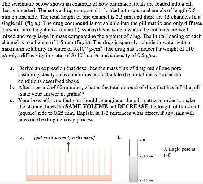 SOLVED: " The schematic below shows an example of how pharmaceuticals ...