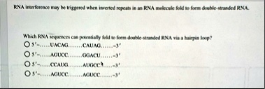 rna interference may be triggered when inverted repeats in an rna ...