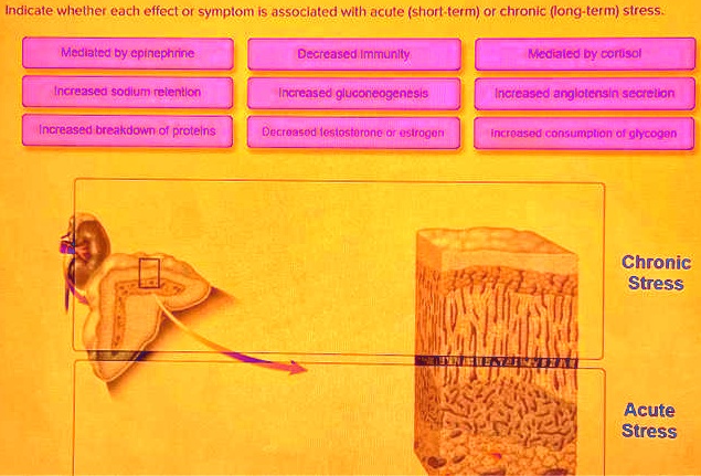 indicate whether each effect or symptom is associated with acute short ...