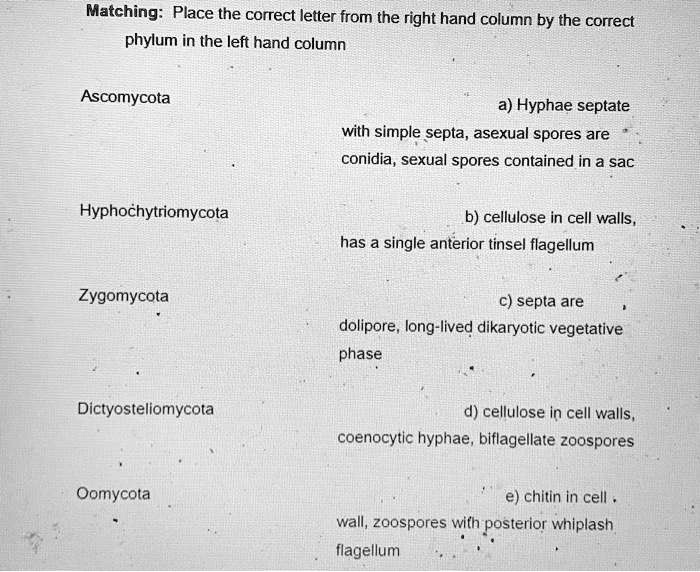Matching: Place the correct letter from the right hand column by the ...