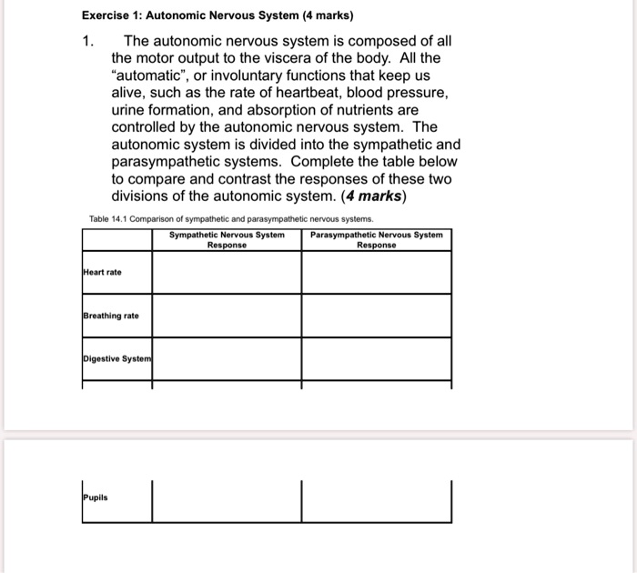 exercise 1 autonomic nervous system 4 marks the autonomic nervous ...