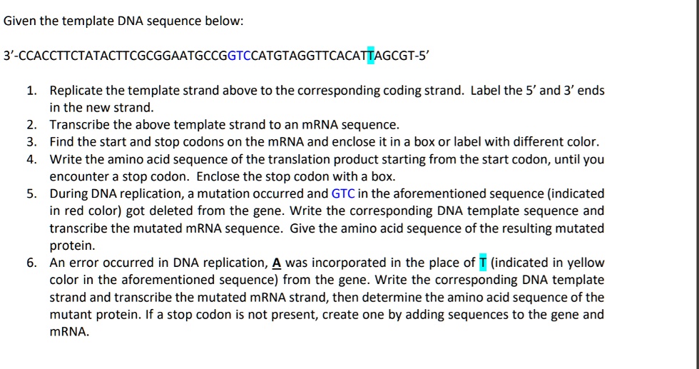 SOLVED: Given the template DNA sequence below: 3 ...