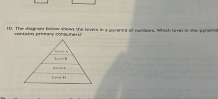 10. The diagram below shows the levels in a pyramid of numbers. Which ...