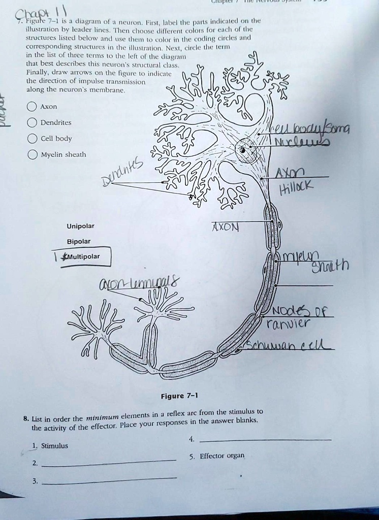 105 in the list of three terms to the left of the diagram that best ...