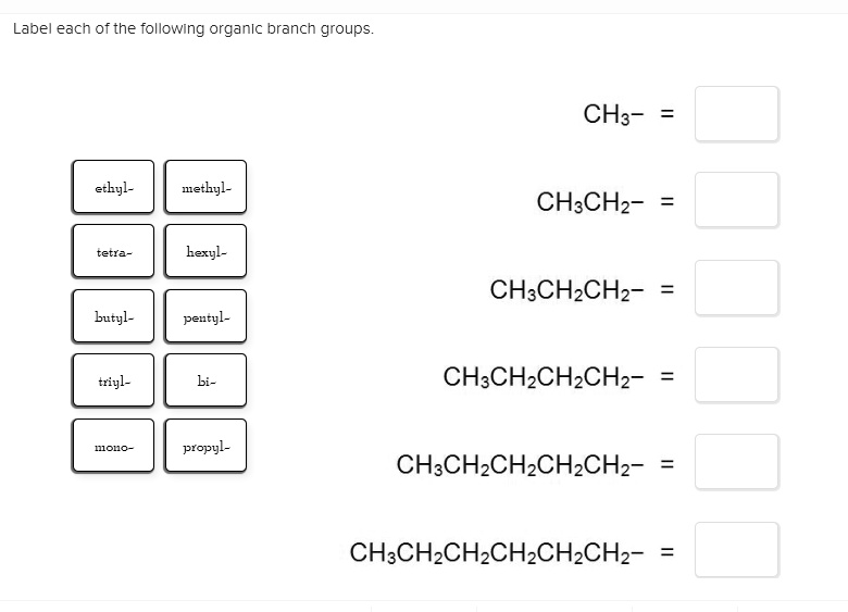 Solved Label Each Of The Following Organic Branch Groups Ch3 Ethyl