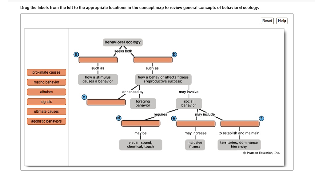 [GET ANSWER] Drag the labels from the left to the appropriate locations in the concept map to ...