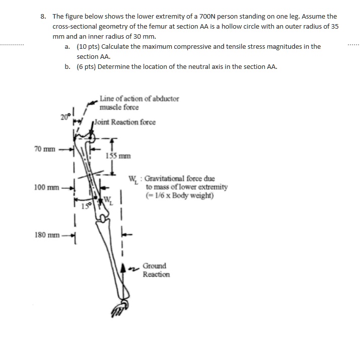 SOLVED: The figure below shows the lower extremity of a 700N person ...