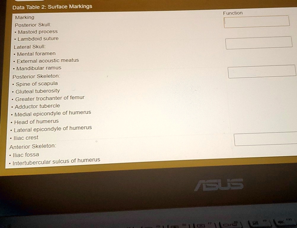 SOLVED: Data Table 2: Surface Markings Function Marking Posterior Skull ...