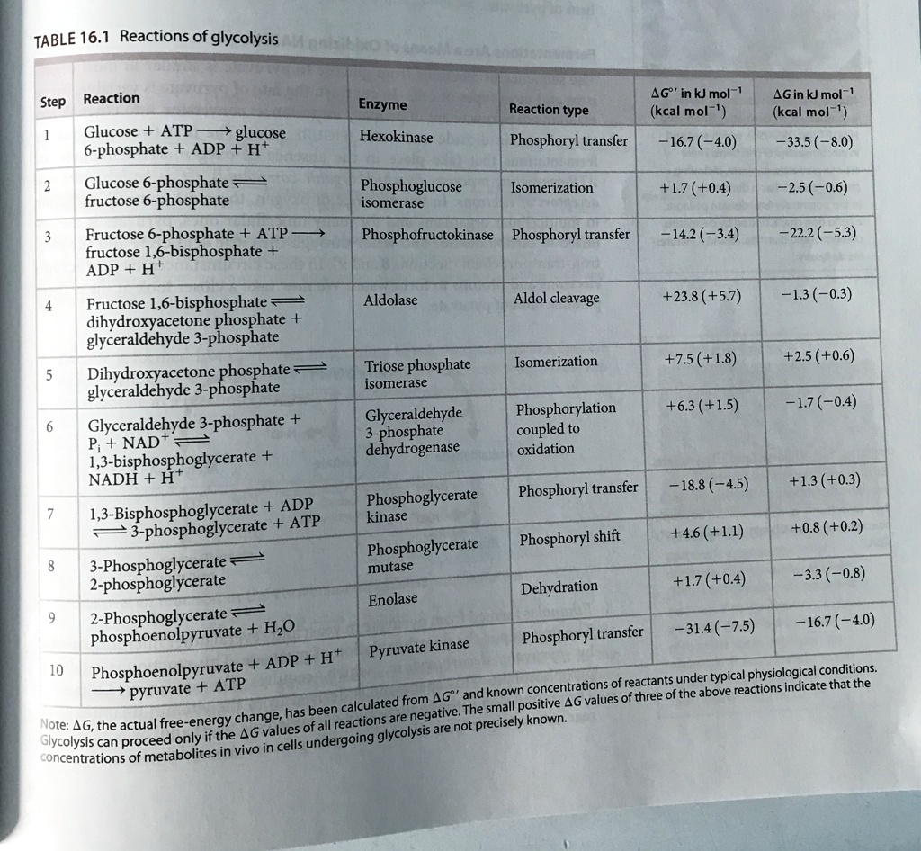 consider the reactions starting from fructose 16 bisphosphate to 2 phosphoglycerate in the ...