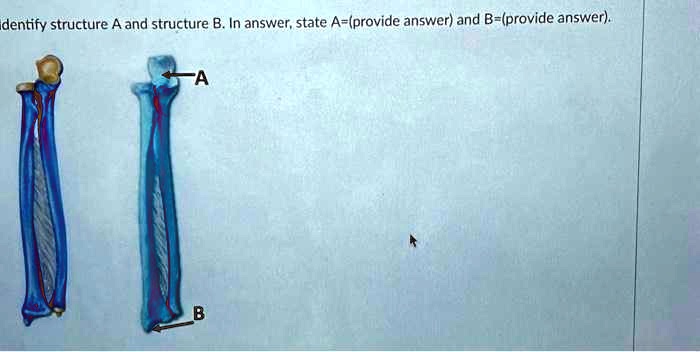 SOLVED: dentify structure A and structure B.In answer.state A=(provide answer and B=(provide answer.