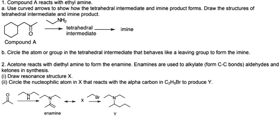 compound a reacts with ethyl amine a use curved arrows to show how the ...