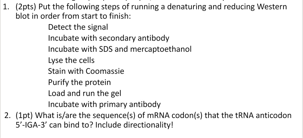VIDEO solution: Put the following steps of running a denaturing and ...