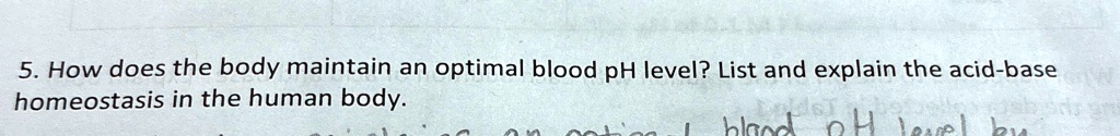 5 how does the body maintain an optimal blood ph level list and explain ...