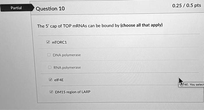 SOLVED: The 5' cap of TOP mRNAs can be bound by (choose all that apply ...