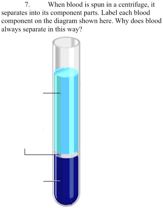 SOLVED: When blood is spun in a centrifuge; it separates into its ...