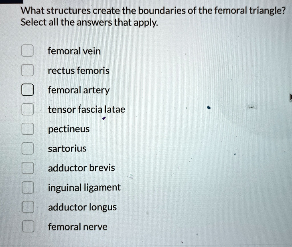 What structures create the boundaries of the femoral triangle? Select ...