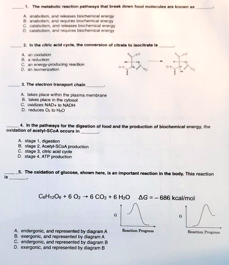 SOLVED: Texts: Need help, please and thank you!! #Organic chemistry 1 ...
