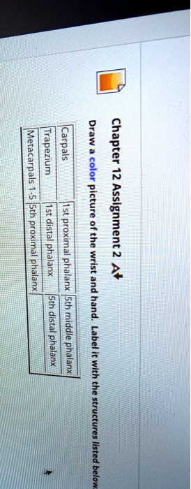 Chapter 12 Assignment 2 A+ Draw a color picture of the wrist and hand. Label it with the ...