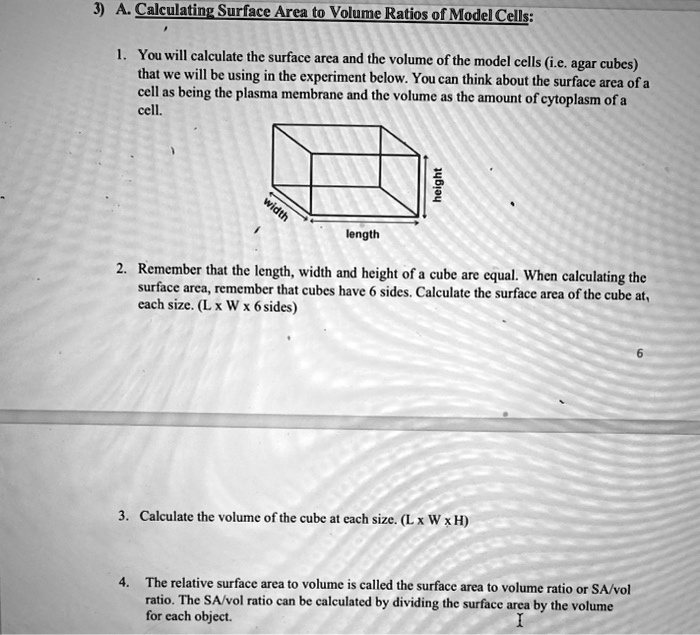 SOLVED: 4Calculting Surlace Area to VolumeRatios of ModelCells: You ...